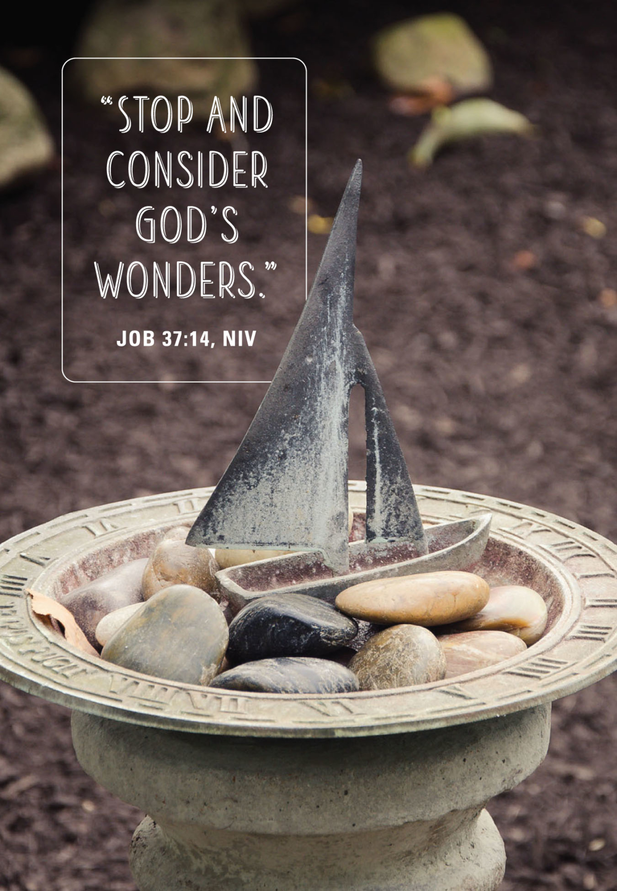 Devotional: The Eyeball & the Octopus – First Presbyterian Church