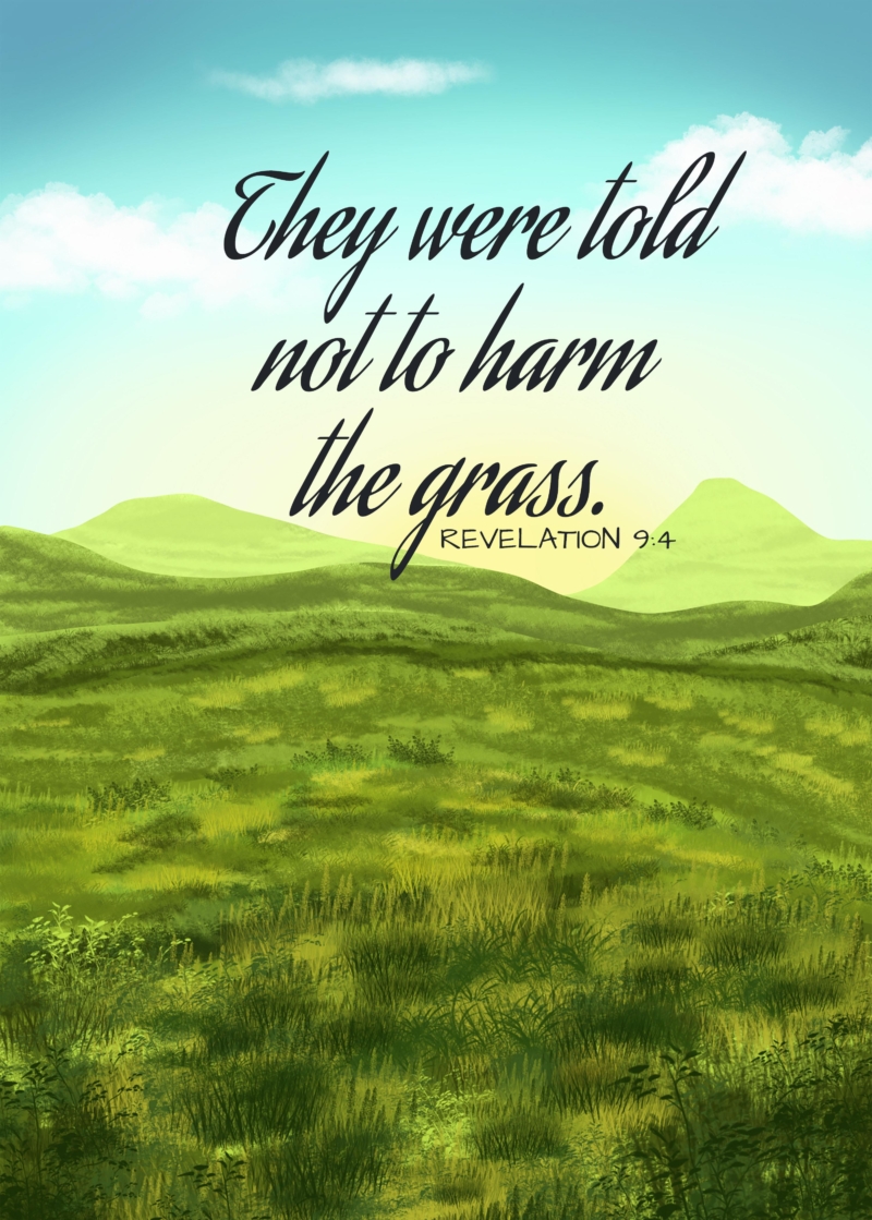 Devotional: The Grass – First Presbyterian Church
